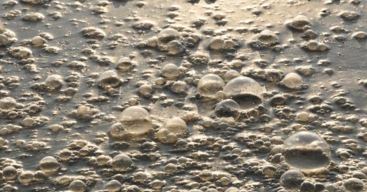 Diesel Fuel Contamination: Causes, Symptoms and Prevention