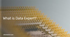 What is Data Expert?
