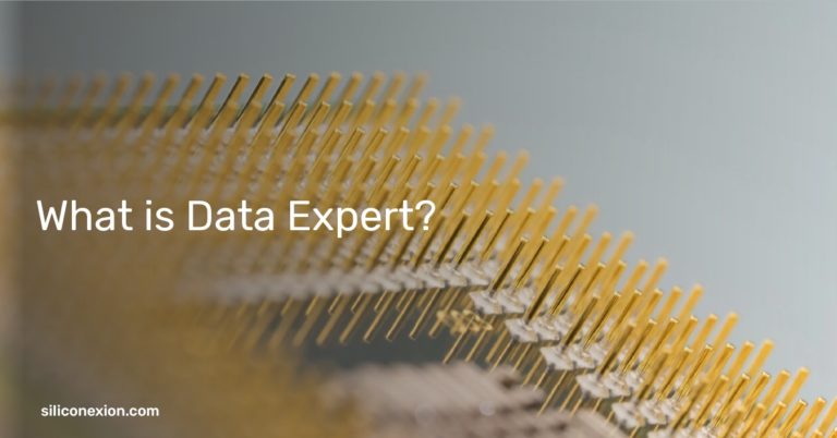 What is Data Expert?